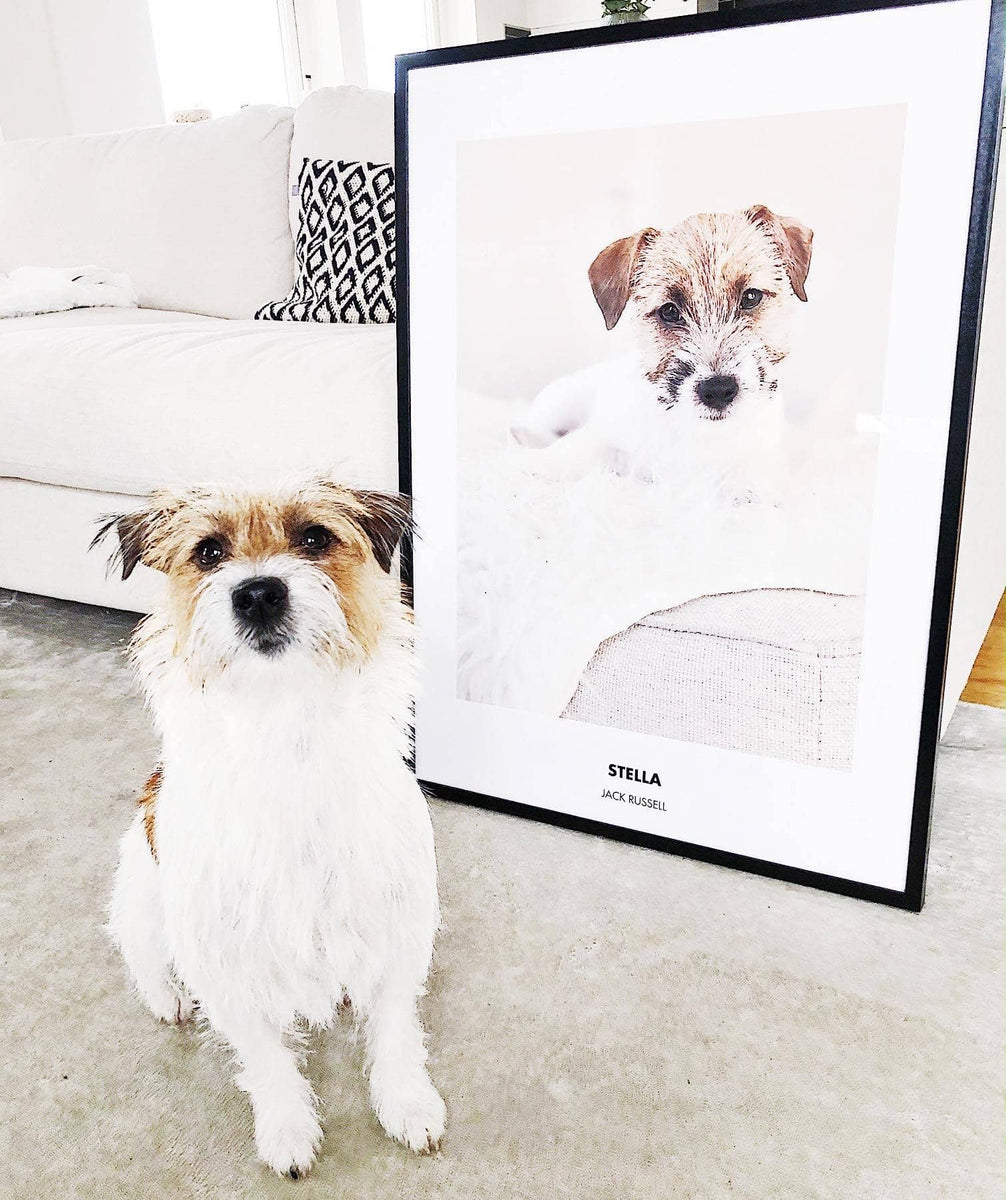 Pet Photo Print | The Puppy Poster